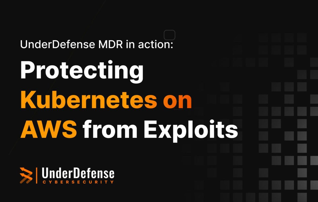 Case Studies | UnderDefense